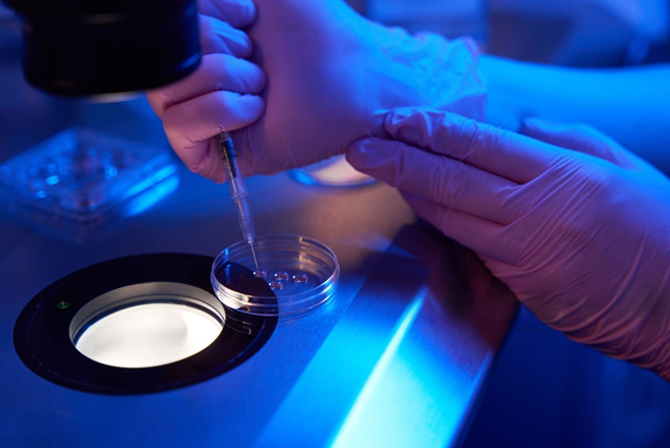 IVF Process Step by Step: A Simple Guide to Understanding Your Journey ...